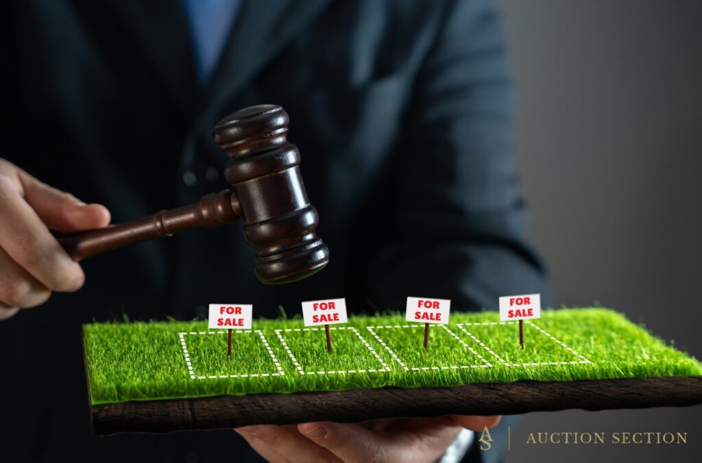 Absolute vs. Reserve Land Auctions: Which Option Is Best?